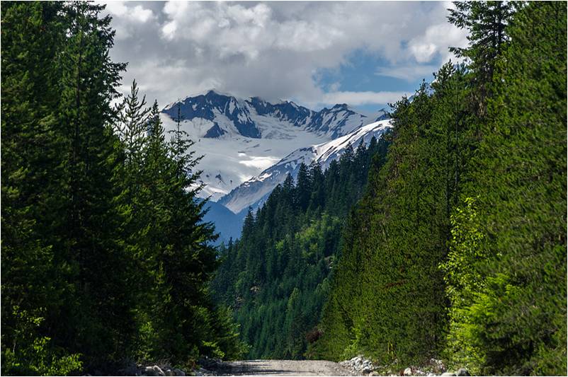 How to Use Resource Roads Safely | TranBC