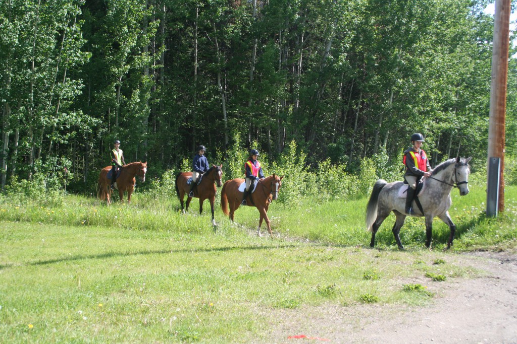 "How to Share the Road Safely with Horseback Riders" is locked How to ...