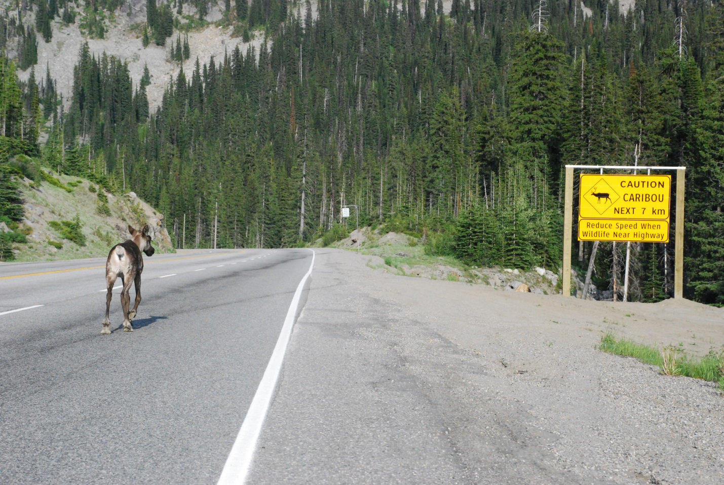 How We Make BC Highways Better for Everyone Who Travels Them | TranBC