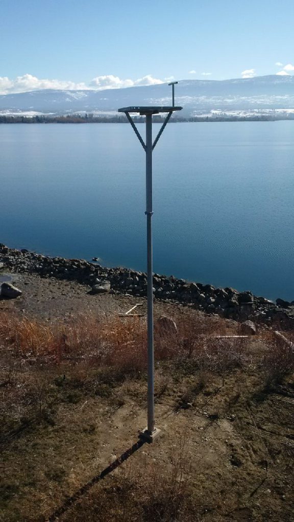 New Platform Offers Nesting Opportunity for Ospreys | TranBC